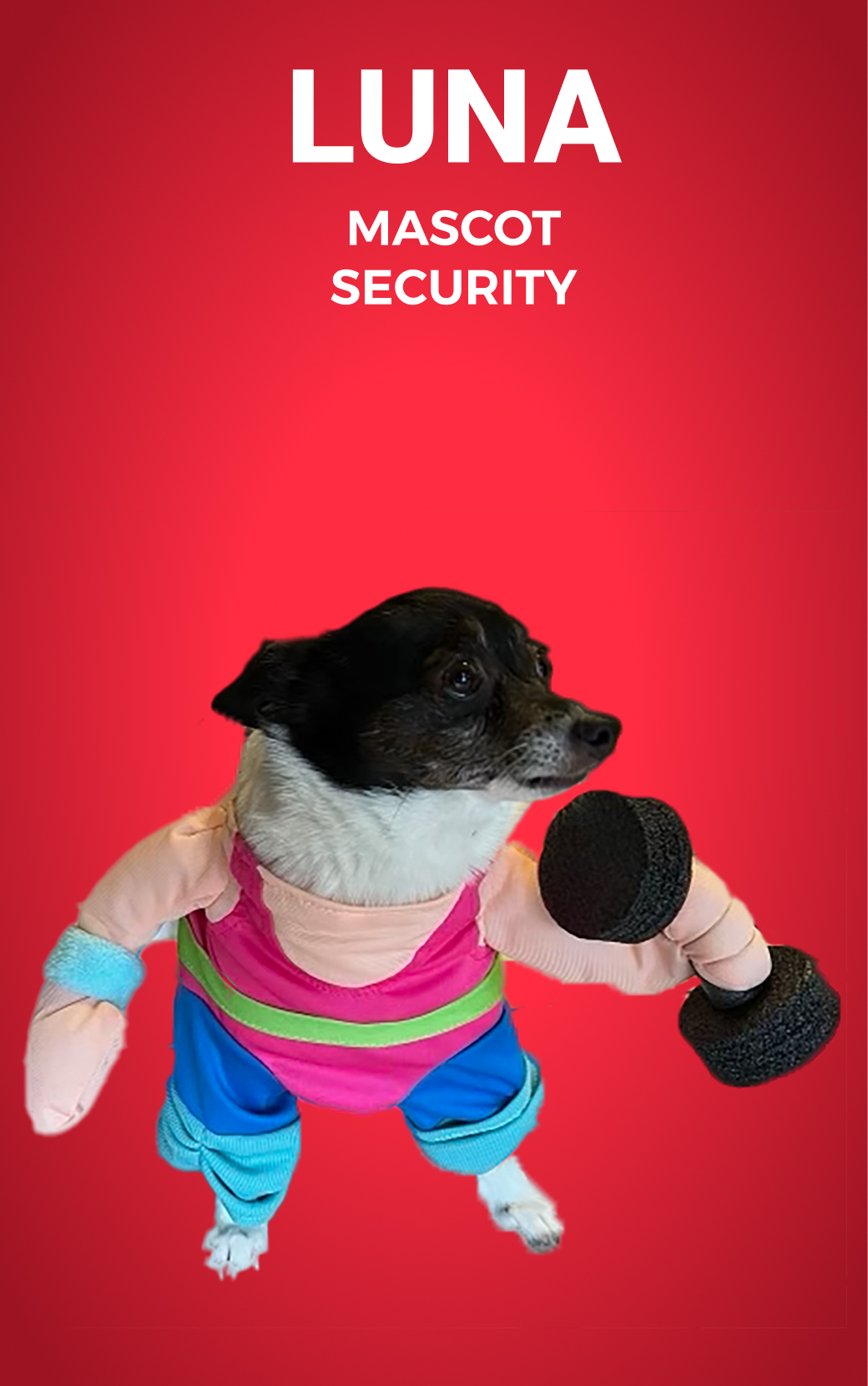 Iron Born Strength & Conditioning Coaching - Brisbane